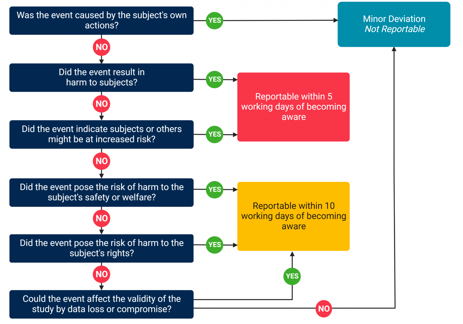 Reporting to the IRB - What You Need to Know - IRB